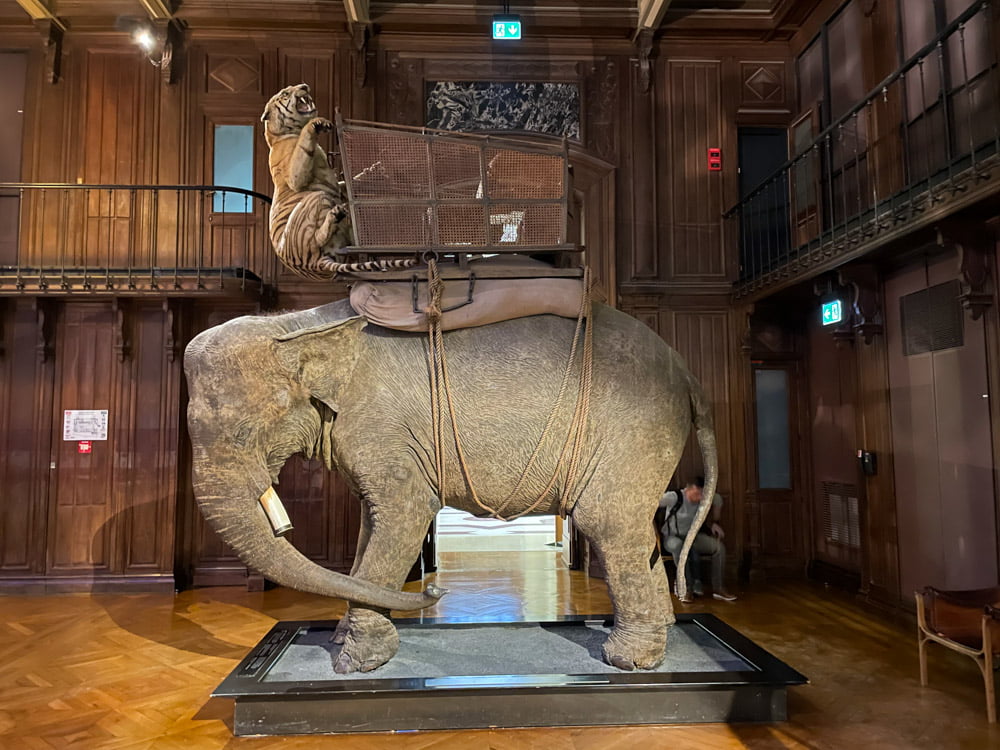 Grande Galerie de l'Évolution in Paris: a Journey into Nature • Paola ...