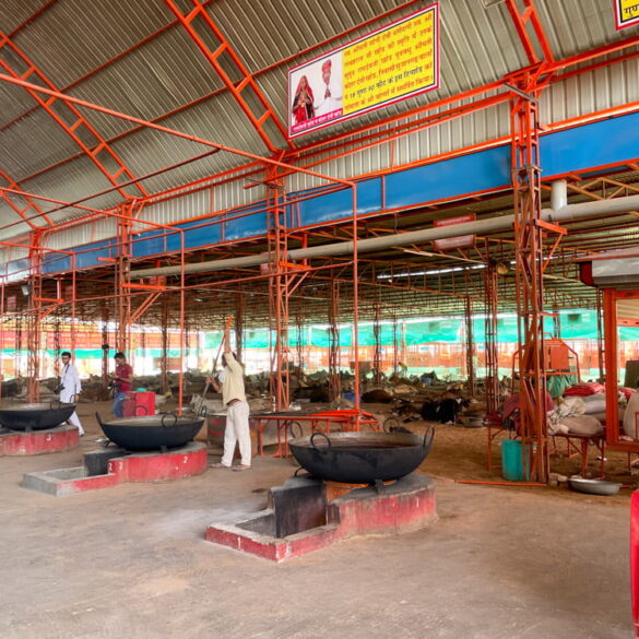 Agra Fort: discovering the timeless beauty to the Red Fort • Paola ...