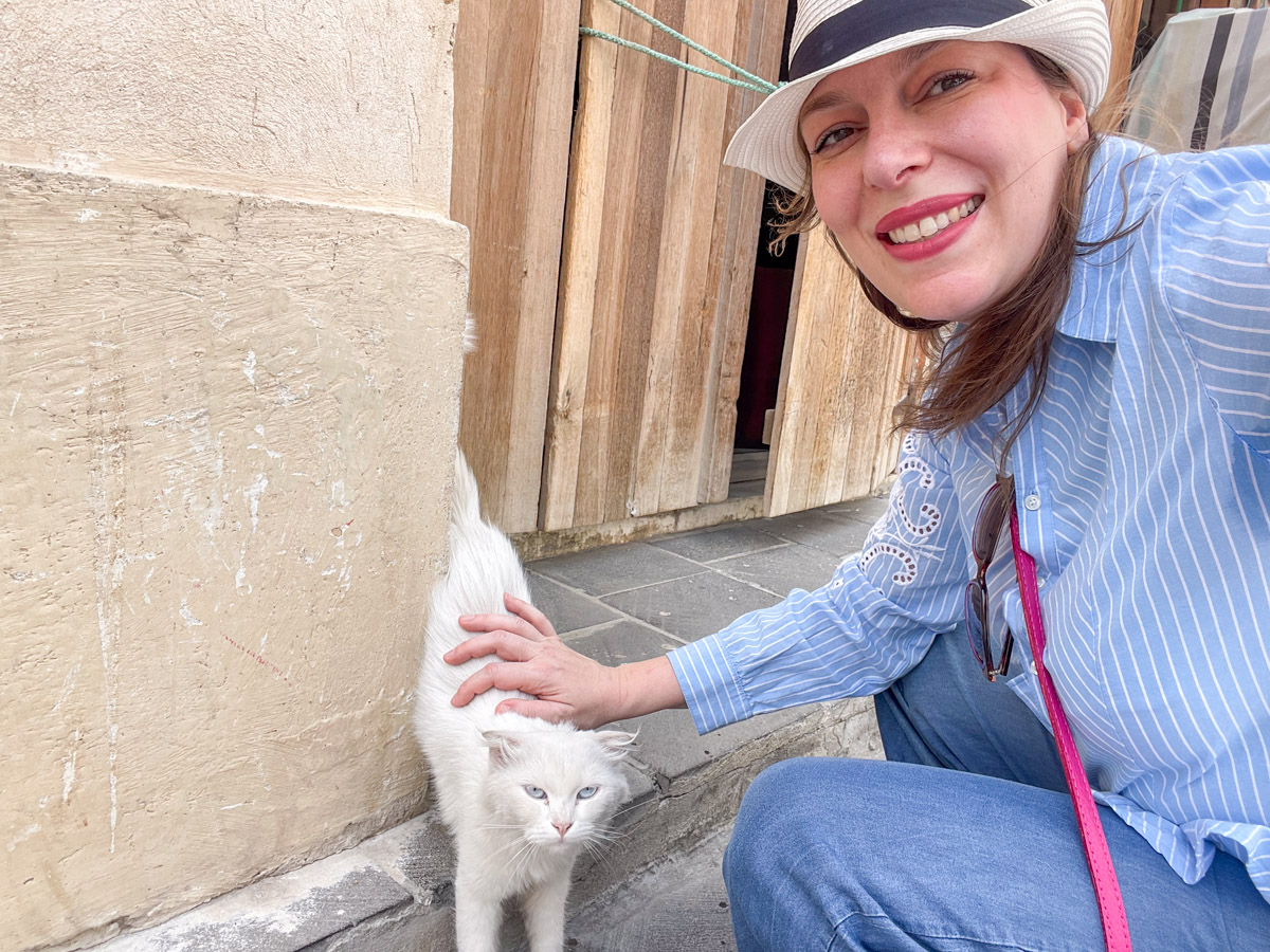 Purr-fectly Qatar: Uncovering the Country's Cat Culture • Paola Everywhere