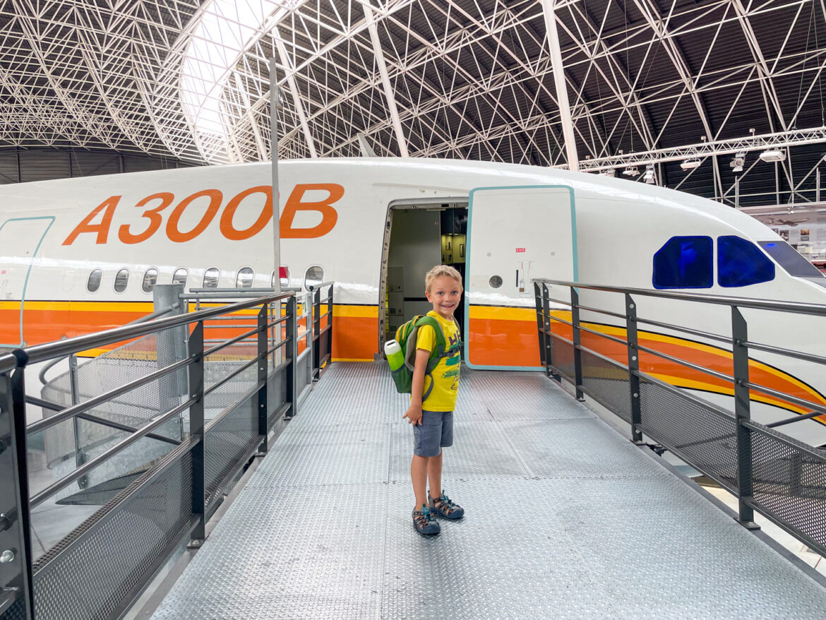 Aeroscopia Museum and Airbus Factory Tour: Aviation History and New ...