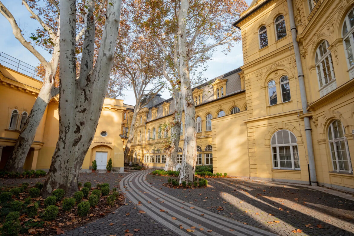 Lukács Thermal Bath Budapest: A True Local Experience • Paola Everywhere