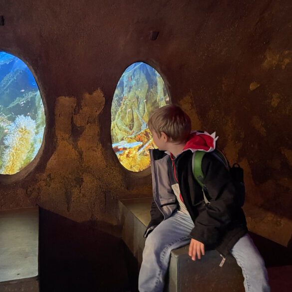 Esplora Interactive Science Centre in Malta: A Must-Visit for Curious ...